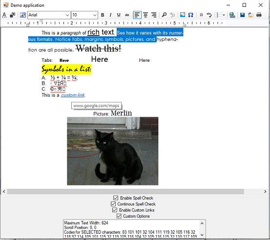 Die ultimative RichTextBox für Windows Forms | DWX Developer World
